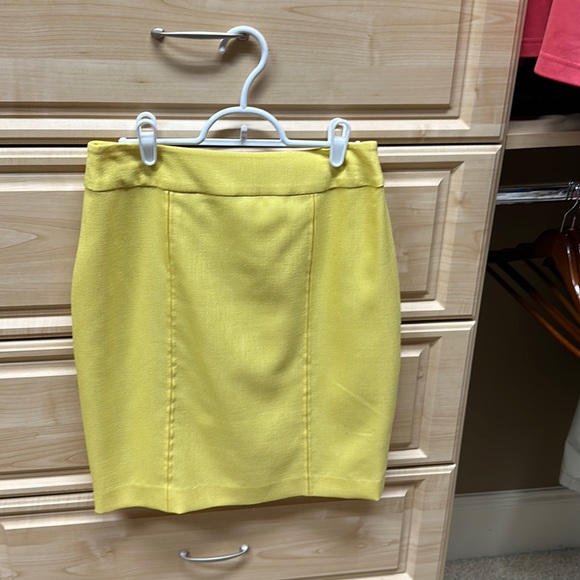 Kay Unger | Skirts | Jay Under Skirt | Poshmark